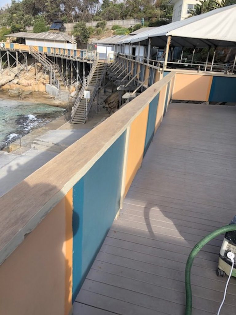 Wylie's Baths, Neptune St, Coogee have reopened! - Men In White